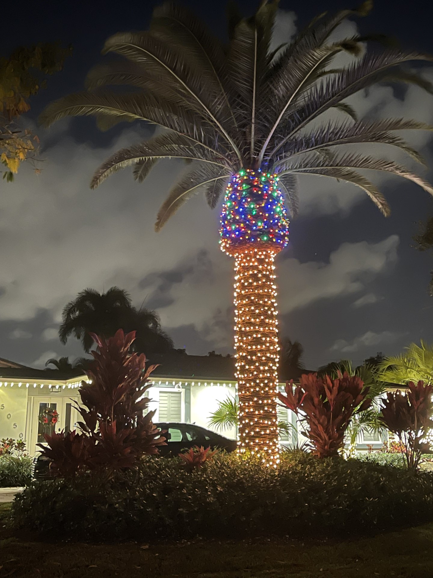 Holidays Miami Style – Drew Kern Real Estate | Your Source for Miami ...